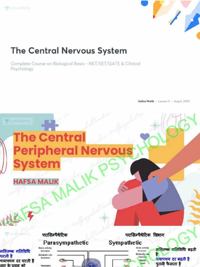 The Central Nervous System No Anno 1762695477520 | PDF
