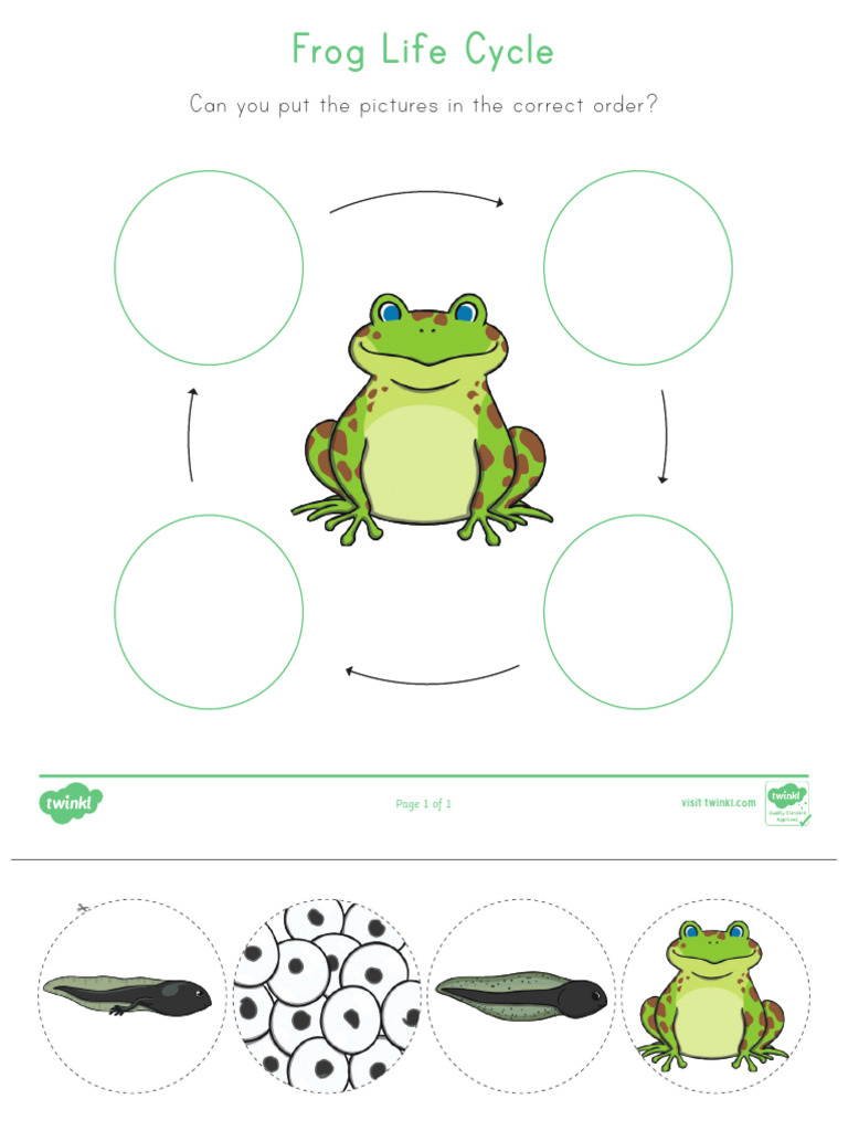 Us t 2548914 Frog Life Cycle Cut and Paste Activity Ver 5 | PDF