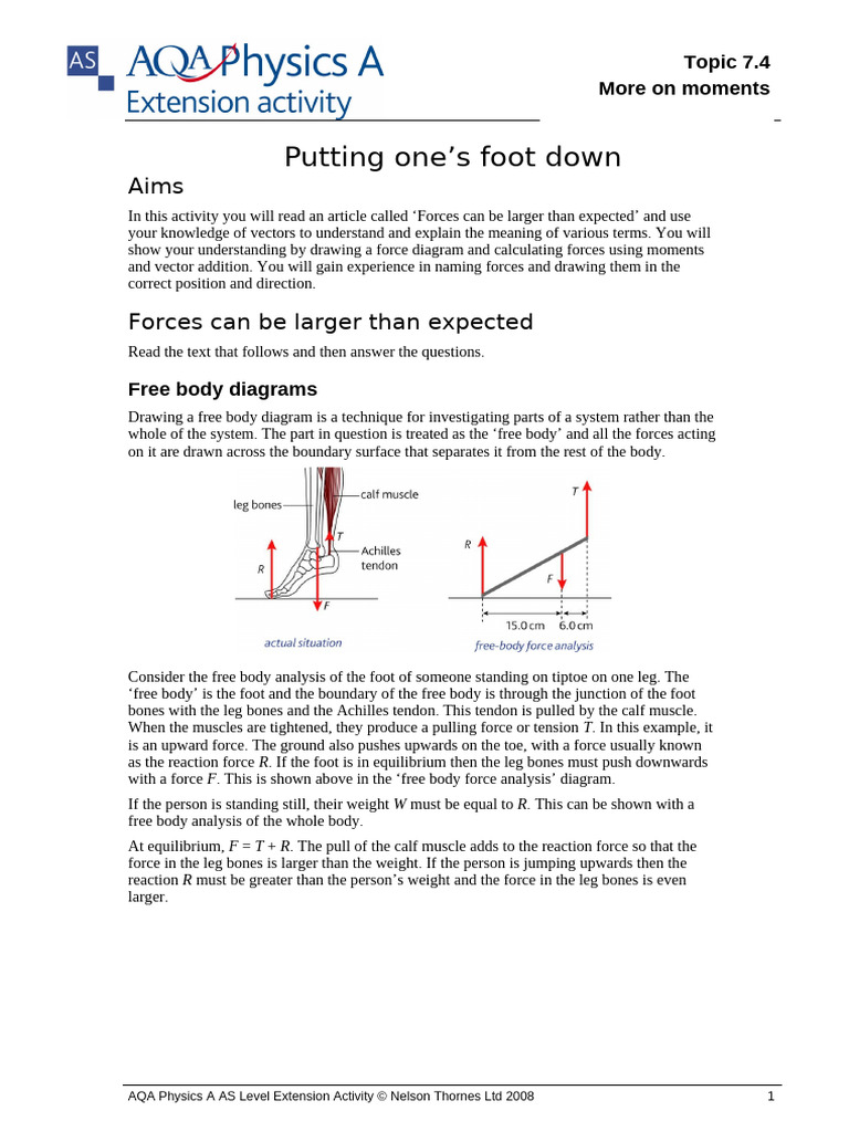 7 4 Putting Your Foot Down Extension | PDF | Force | Foot