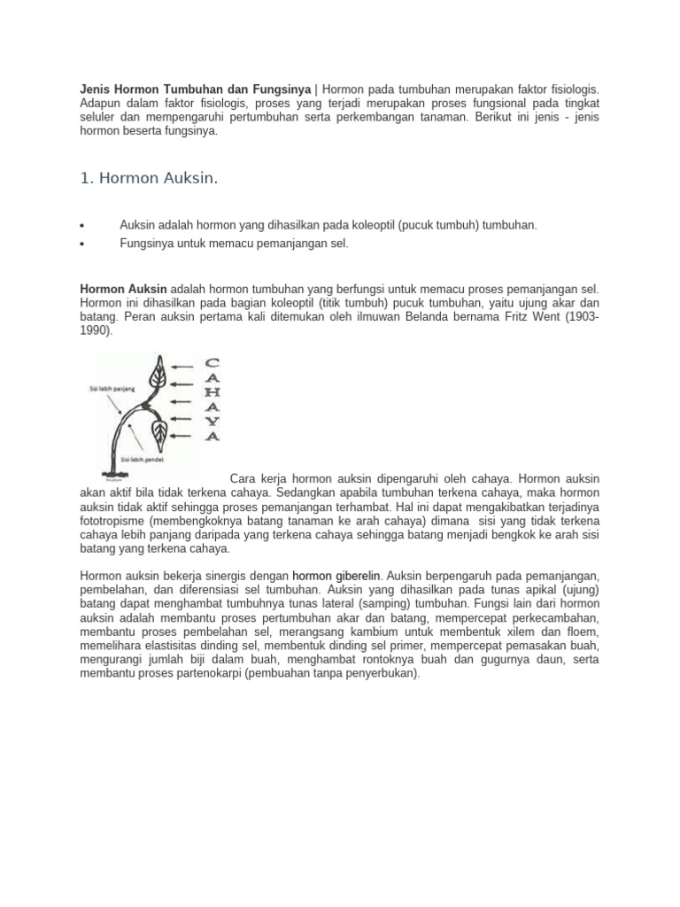 Jenis Hormon Tumbuhan Dan Fungsinya | PDF