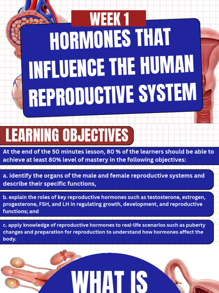 Hormones That Influence The Human Reproductive System Grade 10 | PDF ...