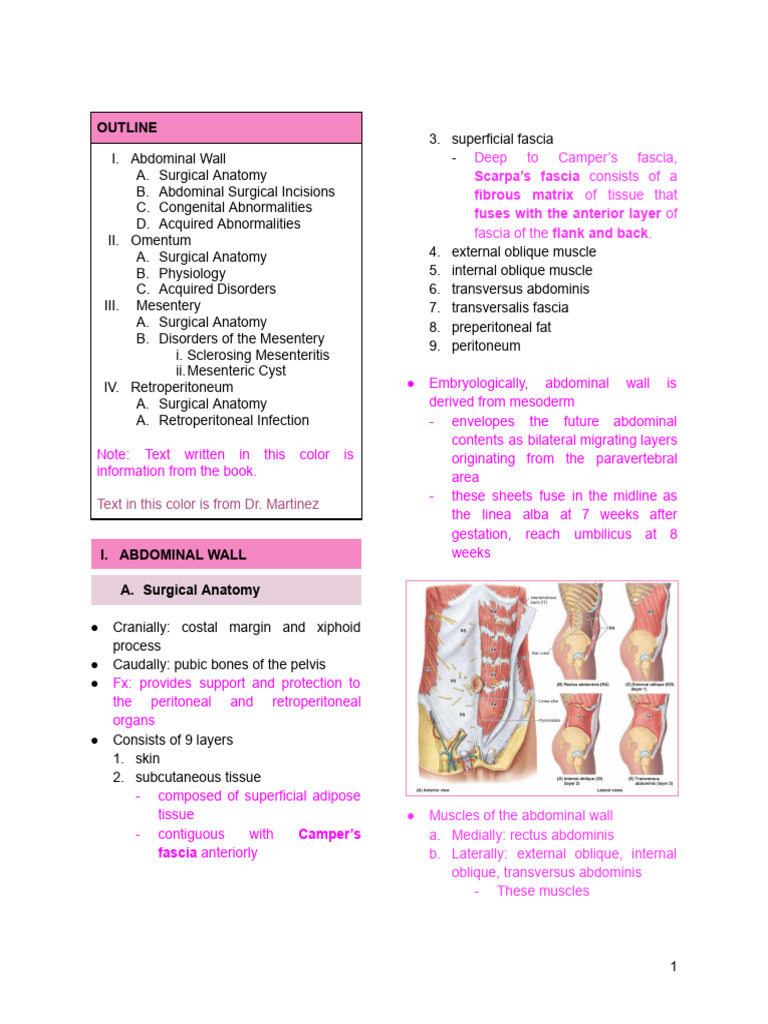 Schwartz - Surgery -Abdominal Wall, Omentum, Mesentery, And ...
