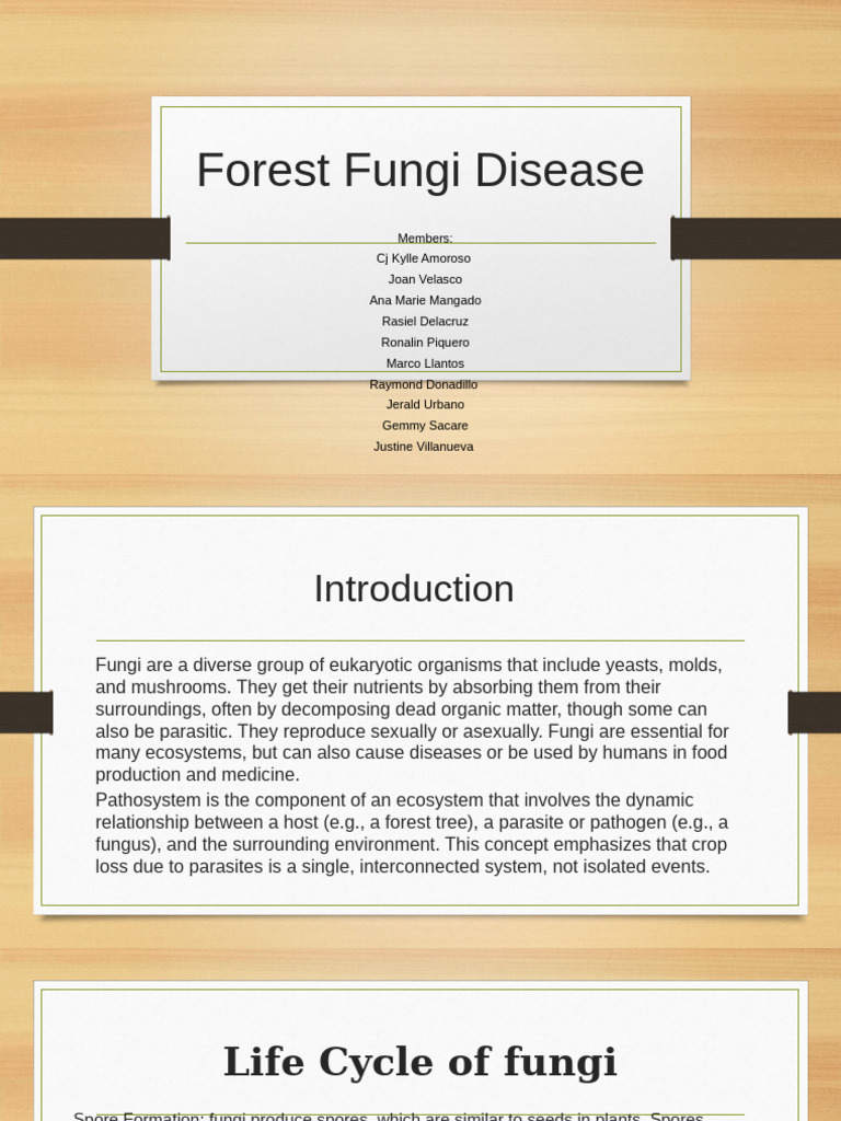 Fungi | PDF | Fungus | Trees