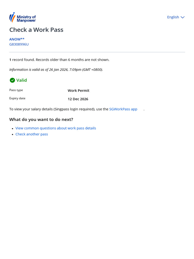 MOM _ Check a Work Pass | PDF