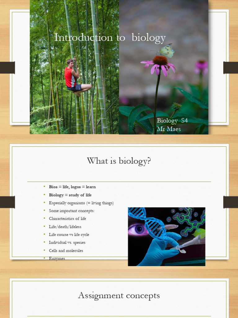 Intro Bio All Theory S4 Bio 2526 | PDF | Cell (Biology) | Virus