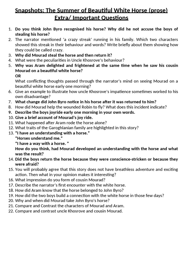 Questions_The Summer of Beautiful White Horse | PDF
