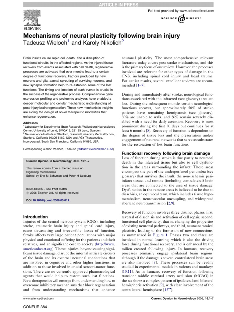 Mechanisms_of_neural_plasticity_followin | PDF | Neuron | Axon