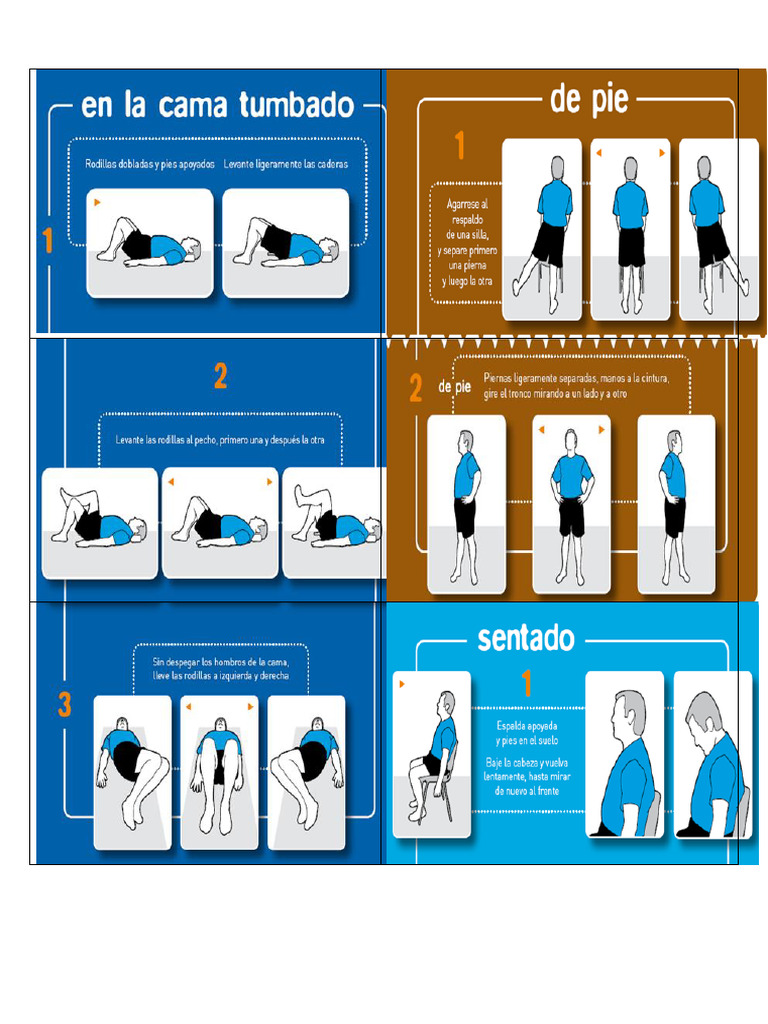 Ejercicios Basicos para Mantenerse en Forma | PDF