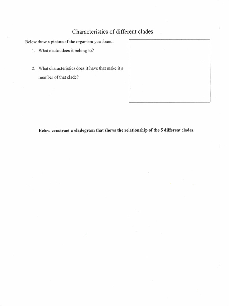 Characteristics of Different Clades - Blank | PDF