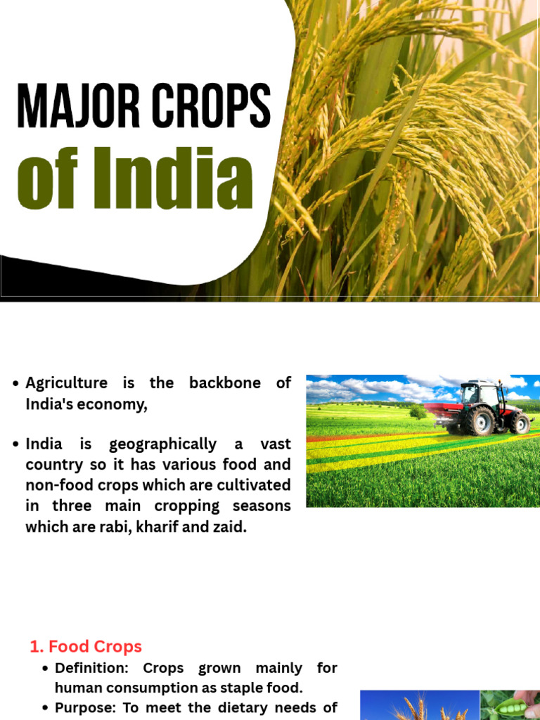 Crops of India - 64441255 - 2026 - 01 - 24 - 20 - 33 | PDF | Crops | Legume