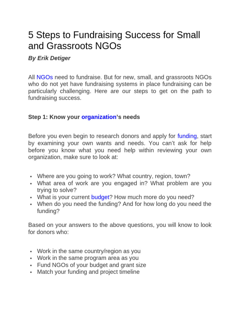 5 Steps to Fundraising Success for Small and Grassroots NGOs | PDF ...