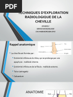 Radiographie de la cheville et du pied | PDF | Pied | Système squelettique