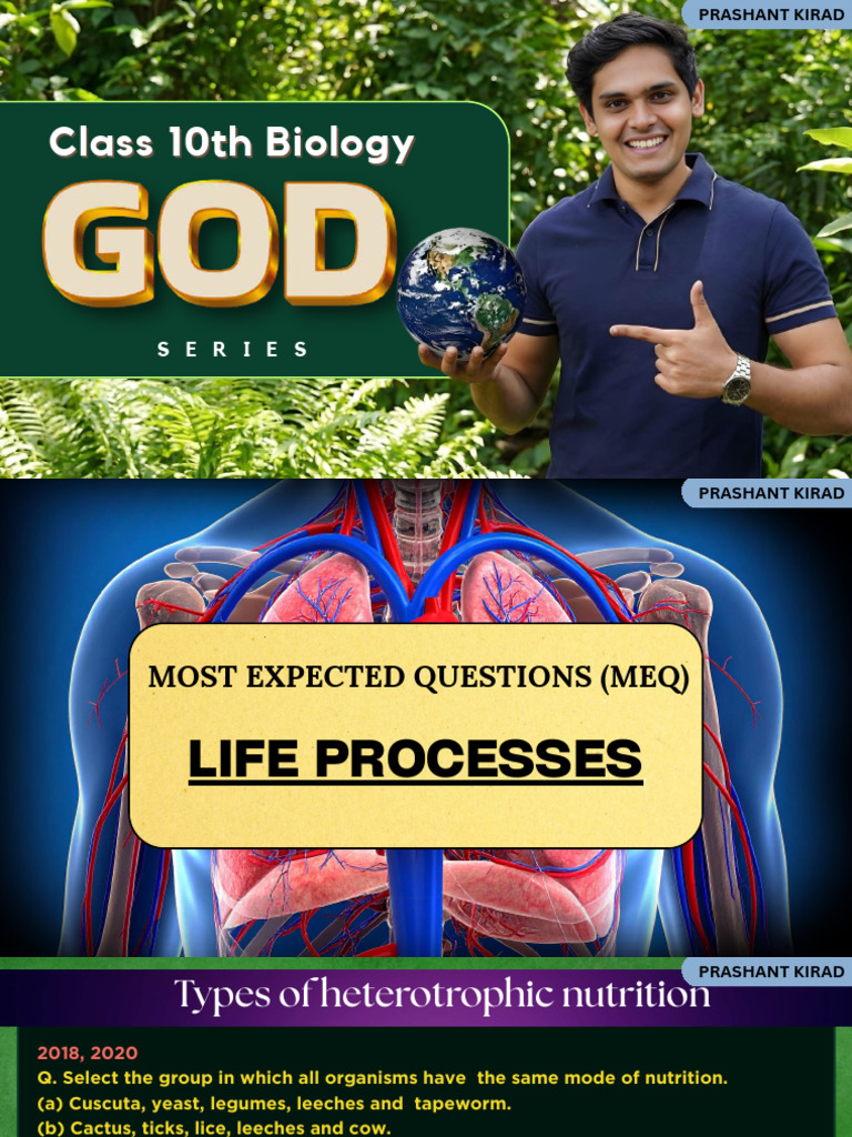 God Series - Biology | PDF | Kidney | Heart