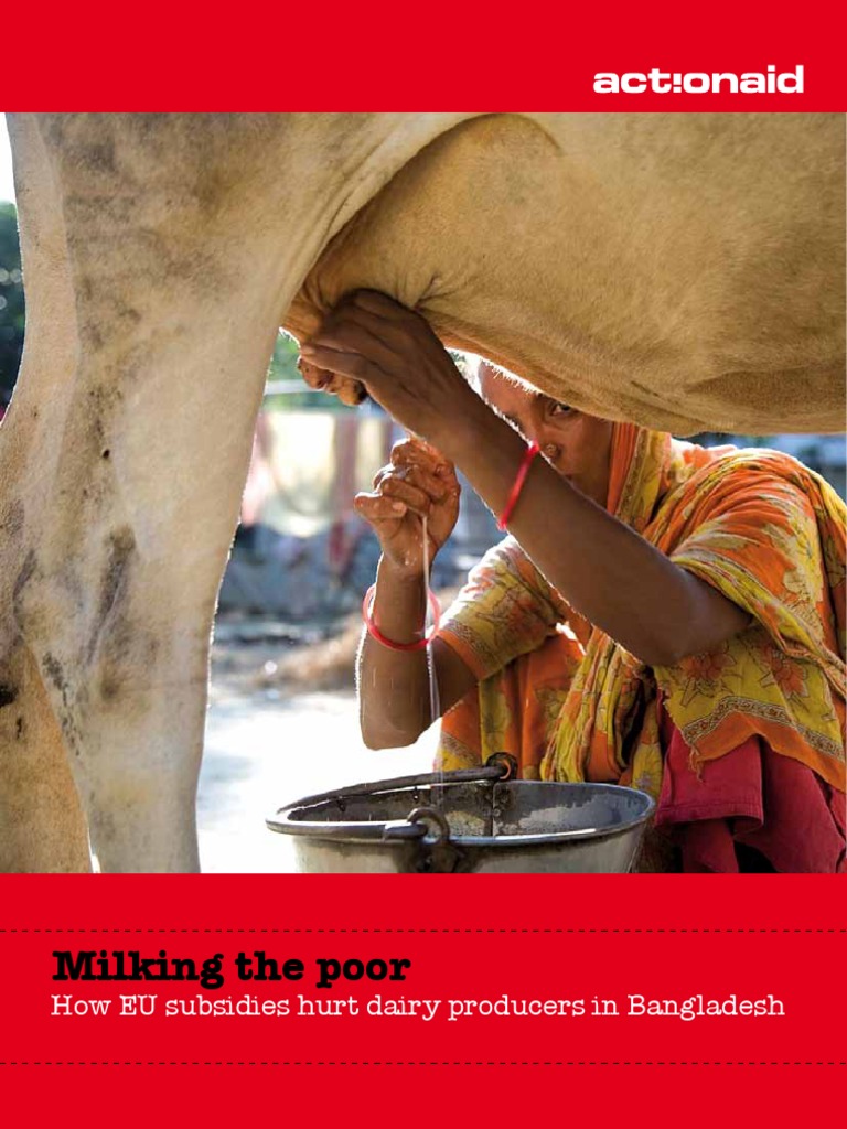 EU Subsidies' Impact on Bangladesh Dairy | PDF | Subsidy | Dairy Farming