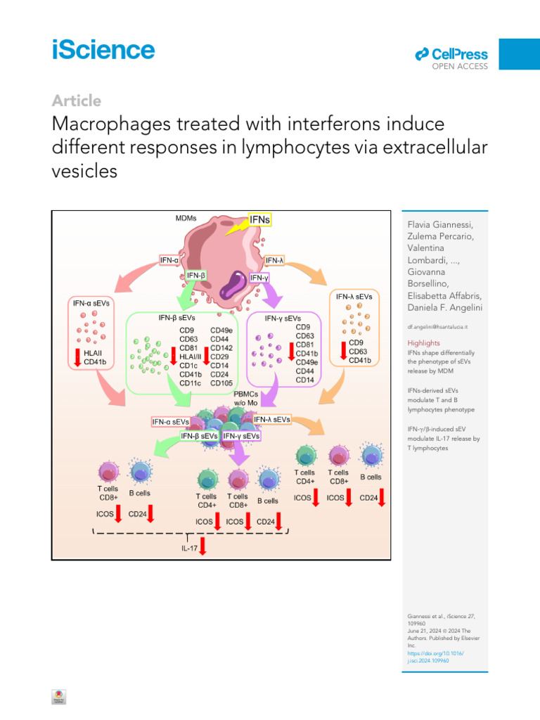 Macrophages Treated With Interferons Induce Different Responses in ...