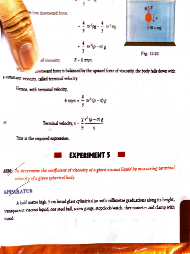 Experiment 5 | PDF | Liquids | Viscosity