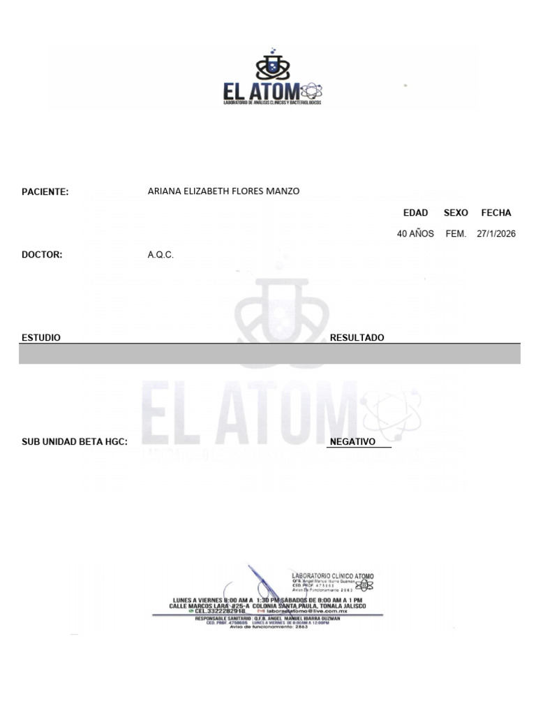 Ariana Elizabeth Flores Manzo | PDF