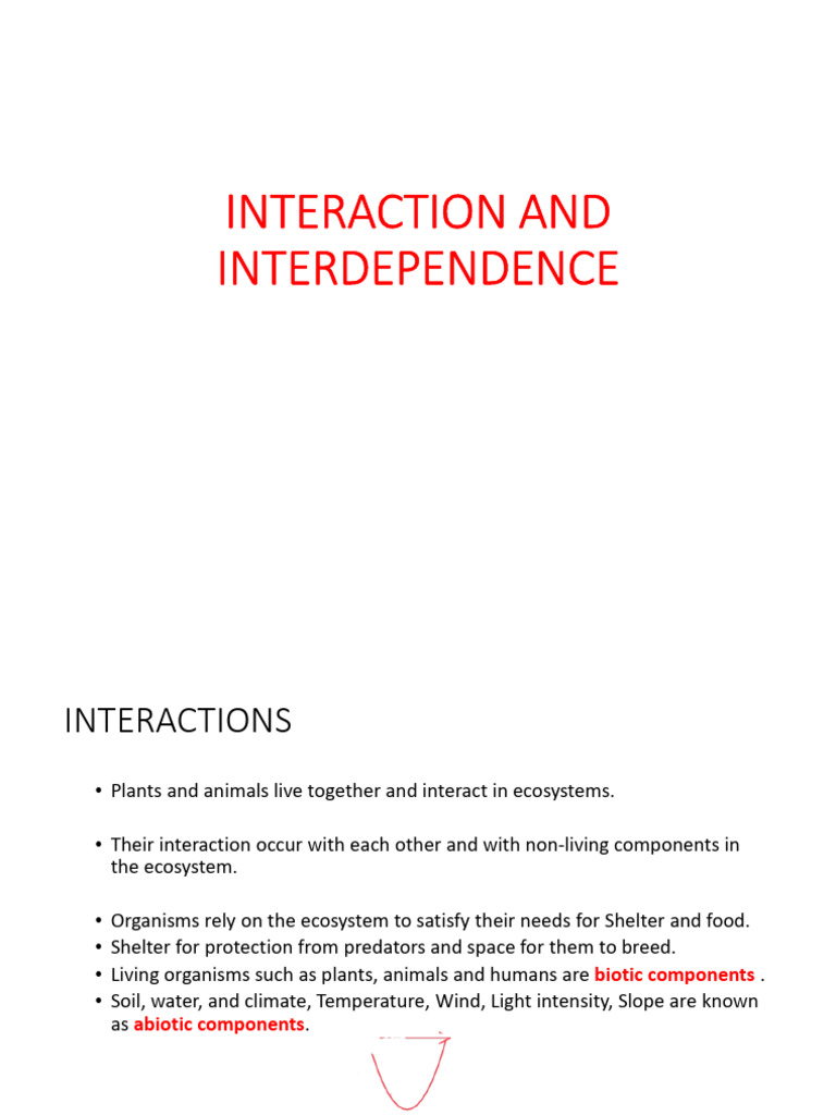 Interaction and Interdependence | PDF | Ecosystem | Earth