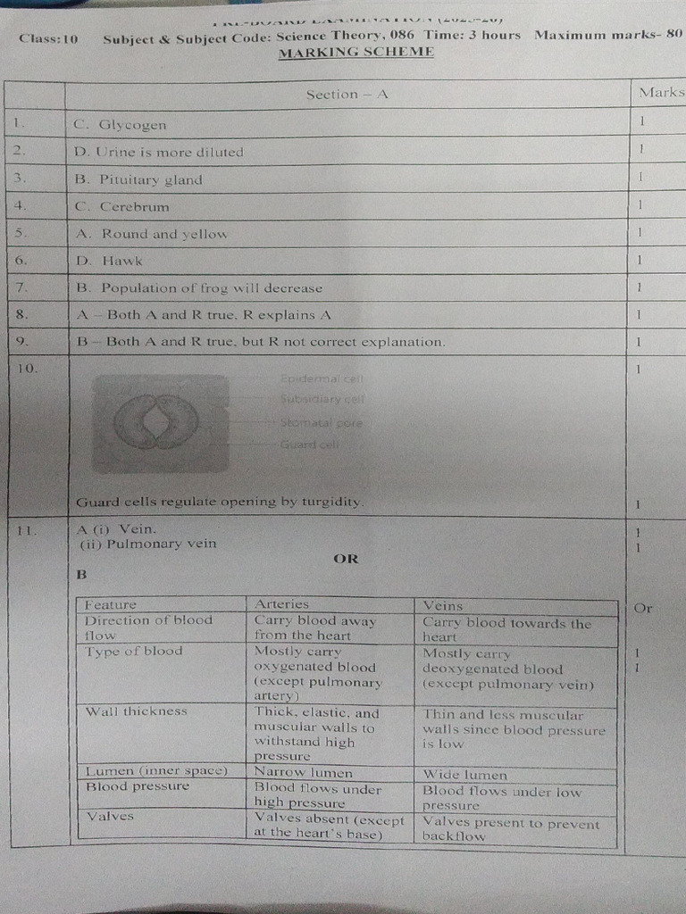Marking Scheme PB 1 SCIENCE | PDF