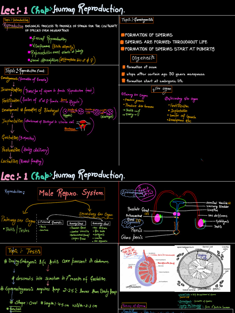 Scratch Paper | PDF
