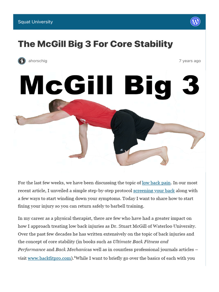 The McGill Big 3 For Core Stability - Squat University | PDF | Pelvis | Hip