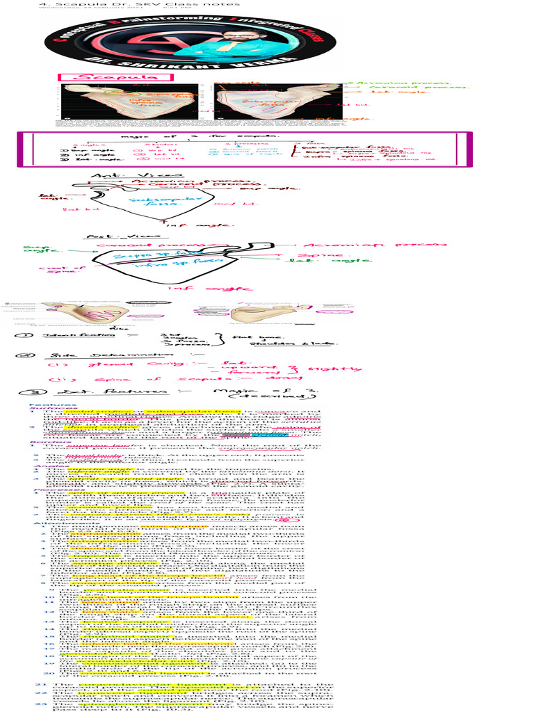 6 Scapula 1 Dr SKV Class Notes | PDF