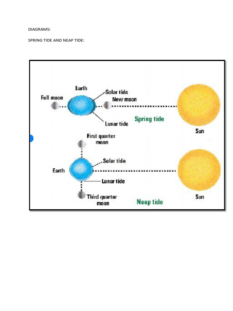 Spring and Neap Tides-Diagrams | PDF