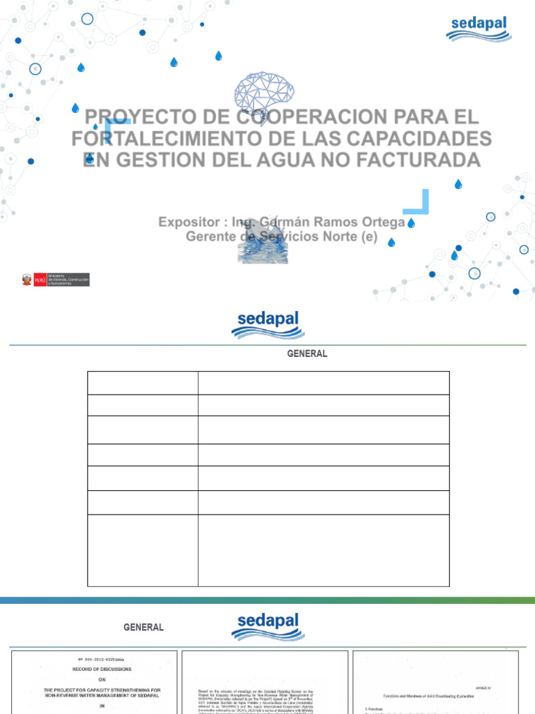 Proyecto de Cooperación Para El Fortalecimiento de Las Capacidades en ...