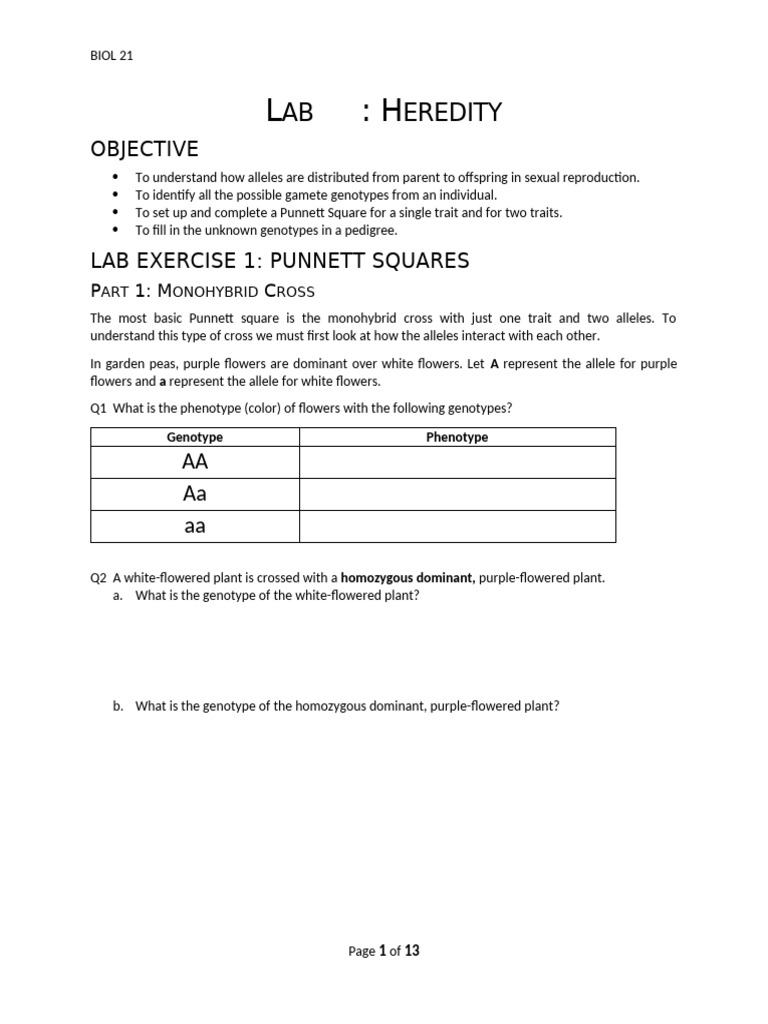 Lab 07 Worksheet | PDF | Genotype | Dominance (Genetics)