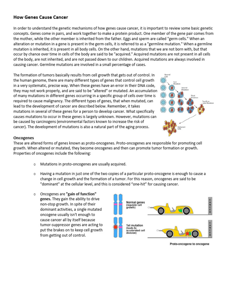 10 How Genes Cause Cancer_reading | PDF | Oncogene | Tumor Suppressor Gene
