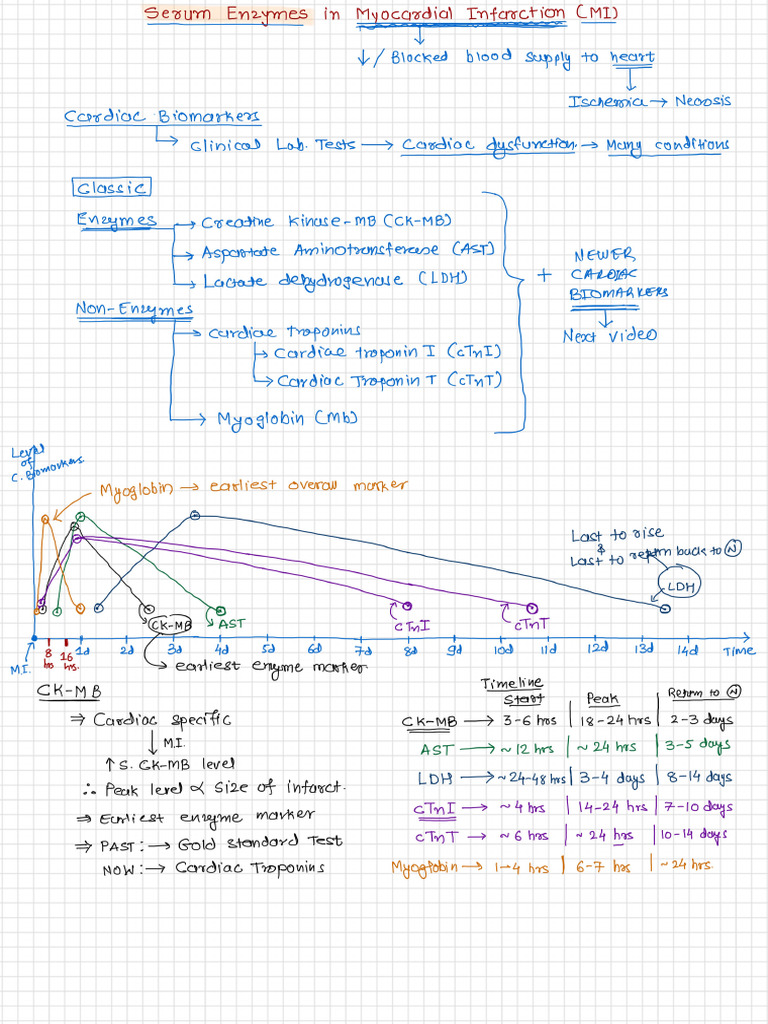 Mi Notes Final | PDF
