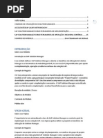 Passo a Passo SolvNow 3 | PDF