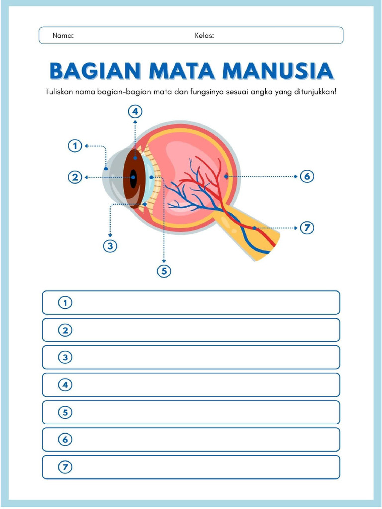 LKPD Ipas Bagian Mata | PDF