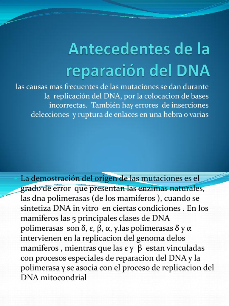 Mecanismos de Reparación Del DNA | PDF | Adn | Genética