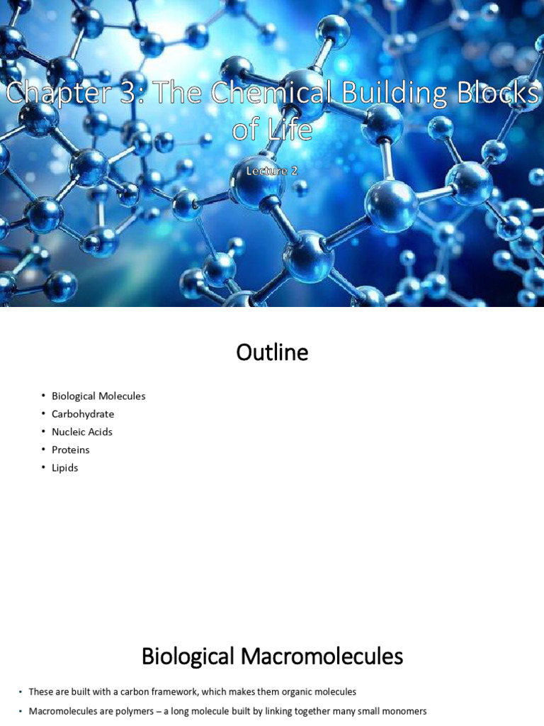 03 BIOL1306 Ch3 The Chemical Building Blocks of Life F25 Holt 005 PDF ...