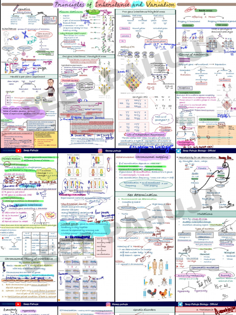 Genetics Mind Map by Seep Pahuja | PDF