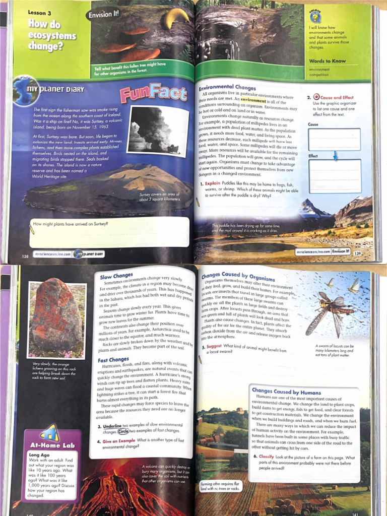 Ecosystems Lesson 3 and 4 | PDF