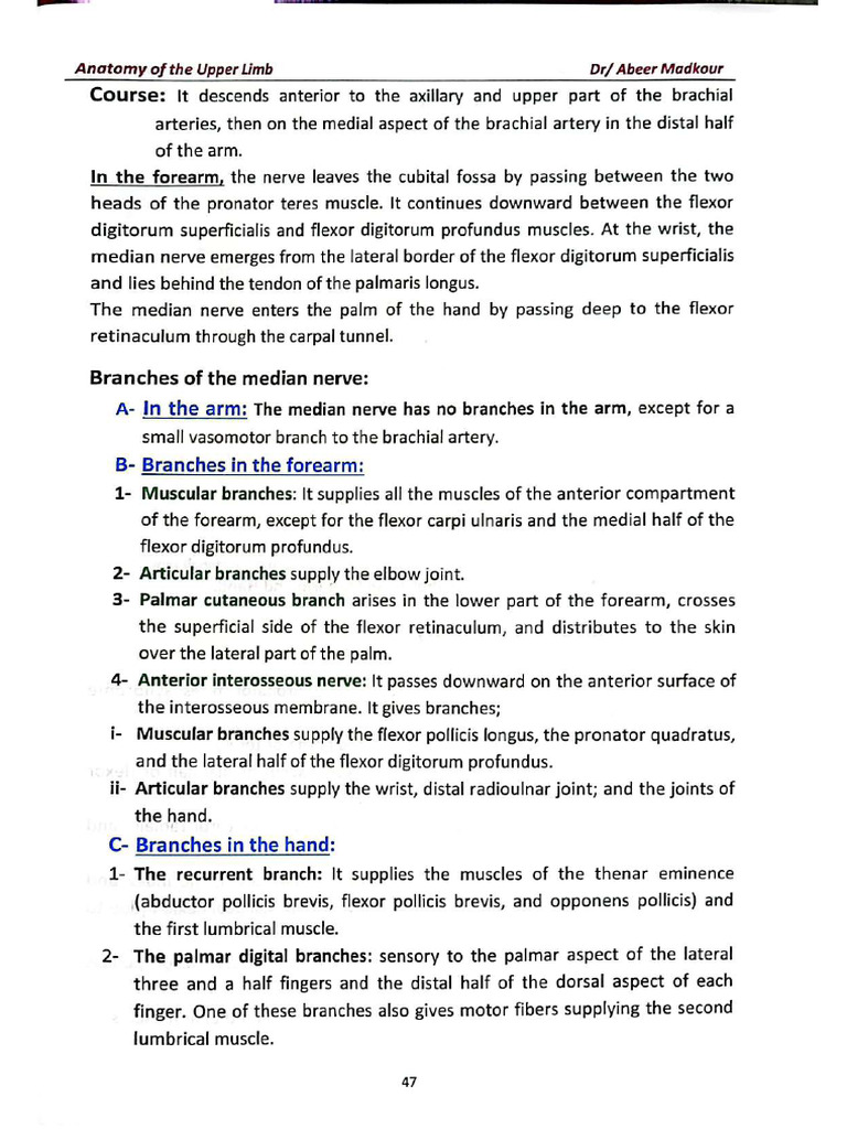 Pages From Anatomy Pseudo DA7EE7(10) | PDF