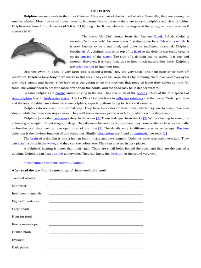 Reading Comprehension Grade 9 | PDF | Dolphin | Whales