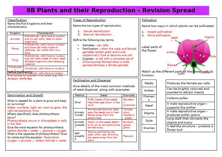 8B Plants and Their Reproduction Answers | PDF | Sexual Reproduction ...