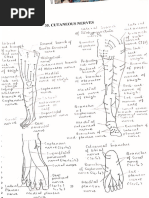 Complete Anatomy Handwritten Notes | PDF