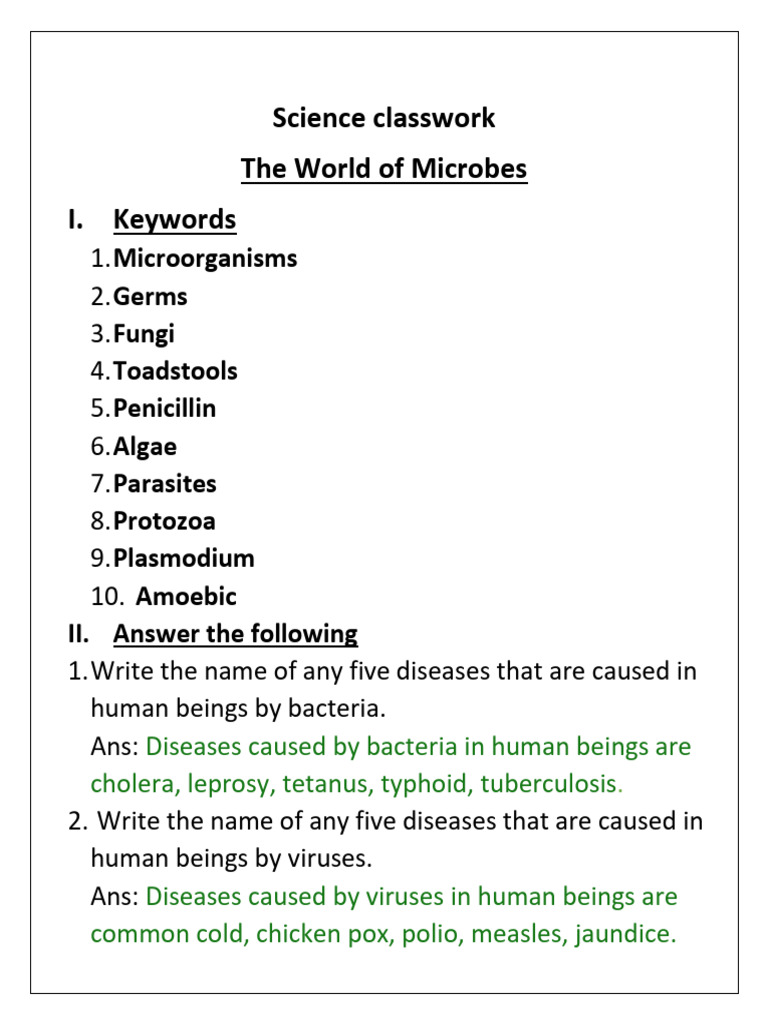 Class v Microbes Class Work | PDF