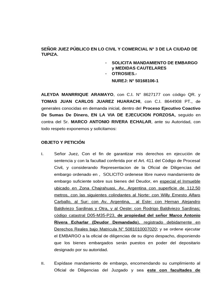 Memorial Embargo Aleyda | PDF | Mandato | Ley Pública