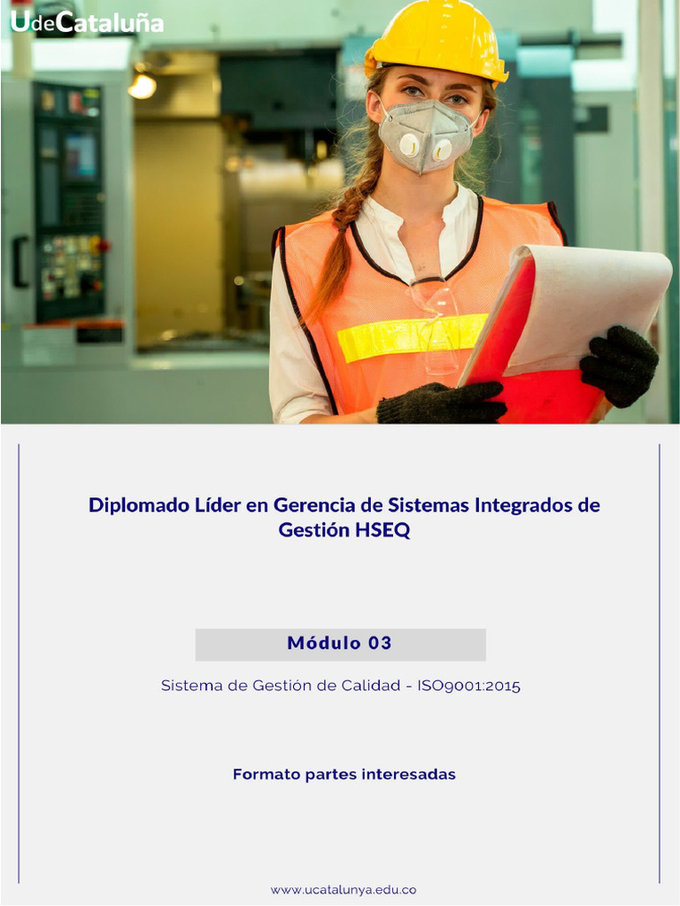 Formato Partes Interesadas | PDF