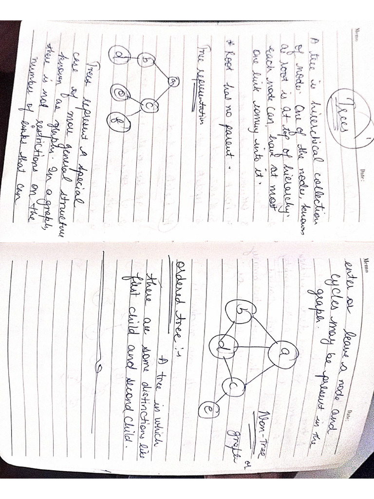 Trees Notes | PDF