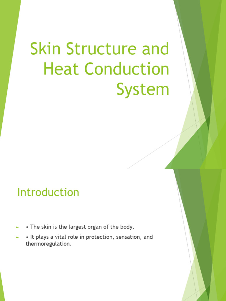 Skin Structure and Heat Conduction System | PDF