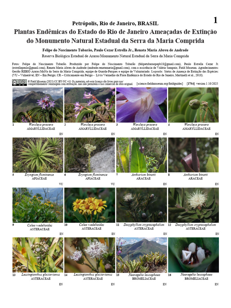1754 BRASIL Plantas Endemicas Da Serra Da Maria Co 251121 091616 | PDF