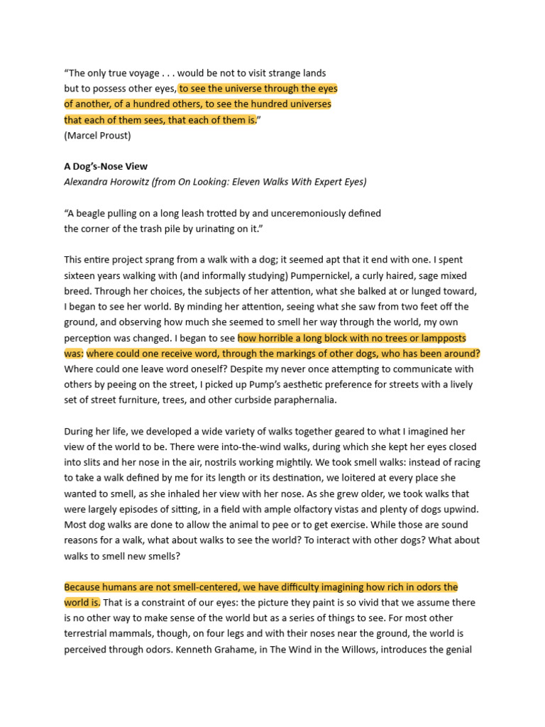 A Dogs Nose View - Horowitz | PDF | Odor | Limbic System