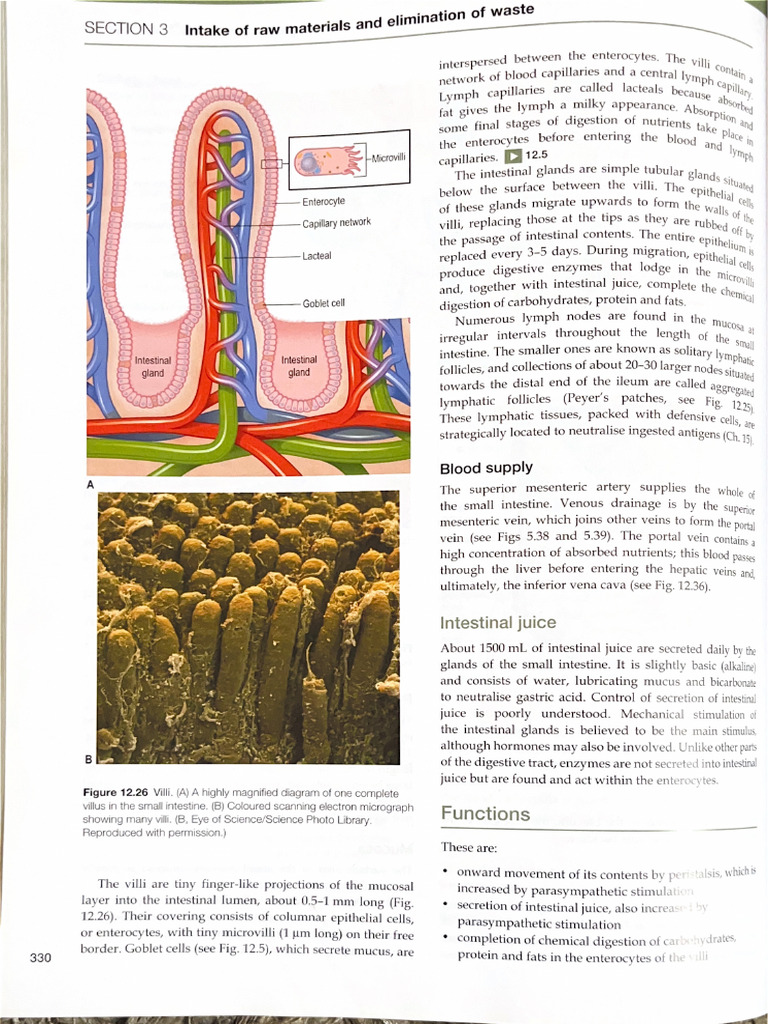 Digest System Part 2 | PDF