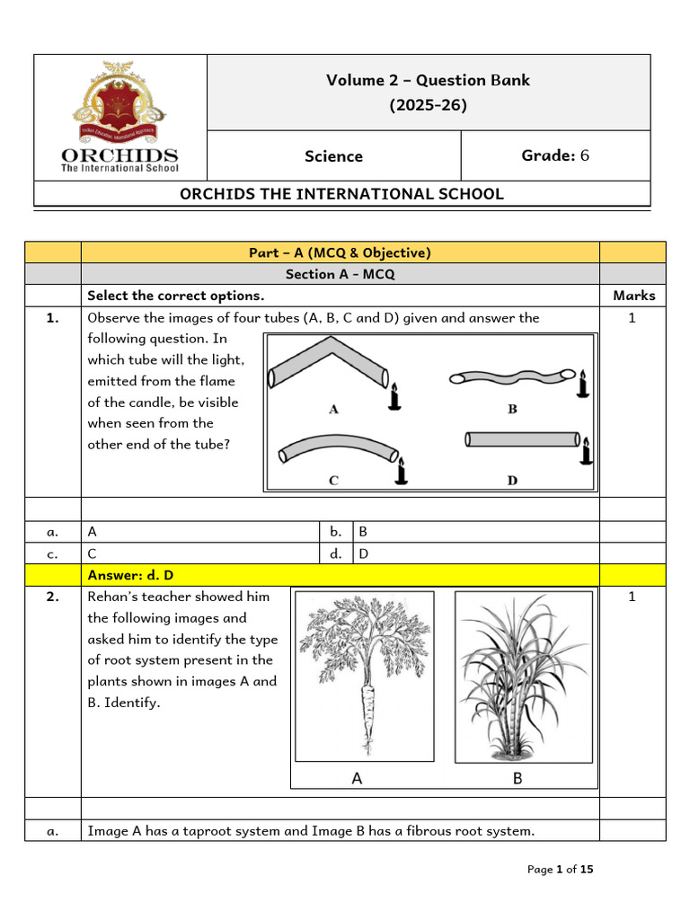 Question Bank V2 Grade 6 Science As | PDF | Leaf | Reflection (Physics)